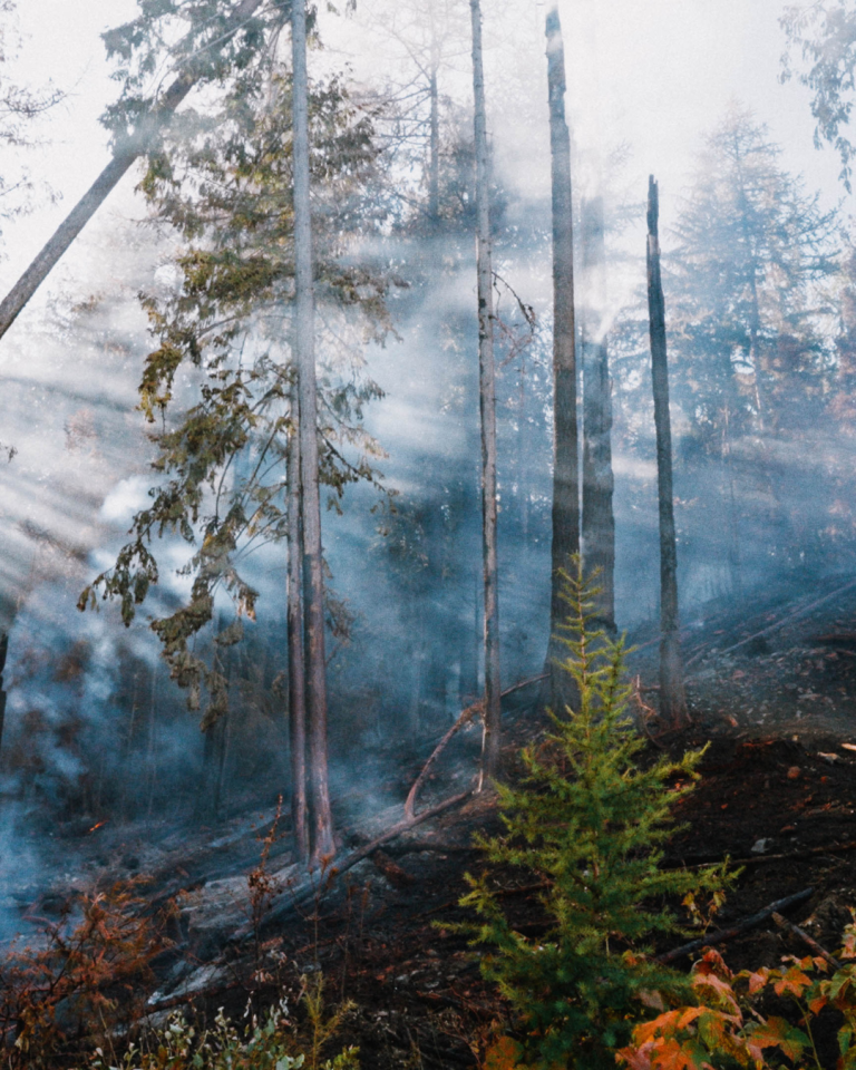 How Fire Can Contribute to Wildfire Resilience? - The POLIS Wildfire ...