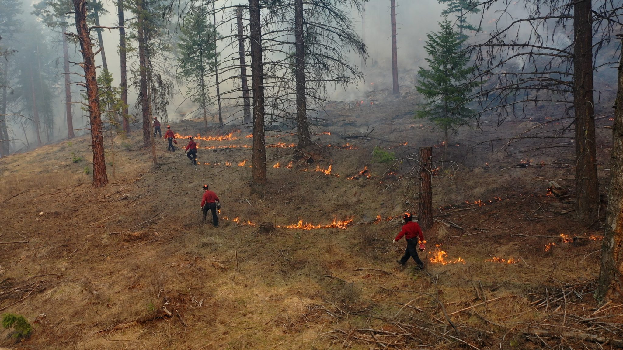 How Fire Can Contribute to Wildfire Resilience? - The POLIS Wildfire ...